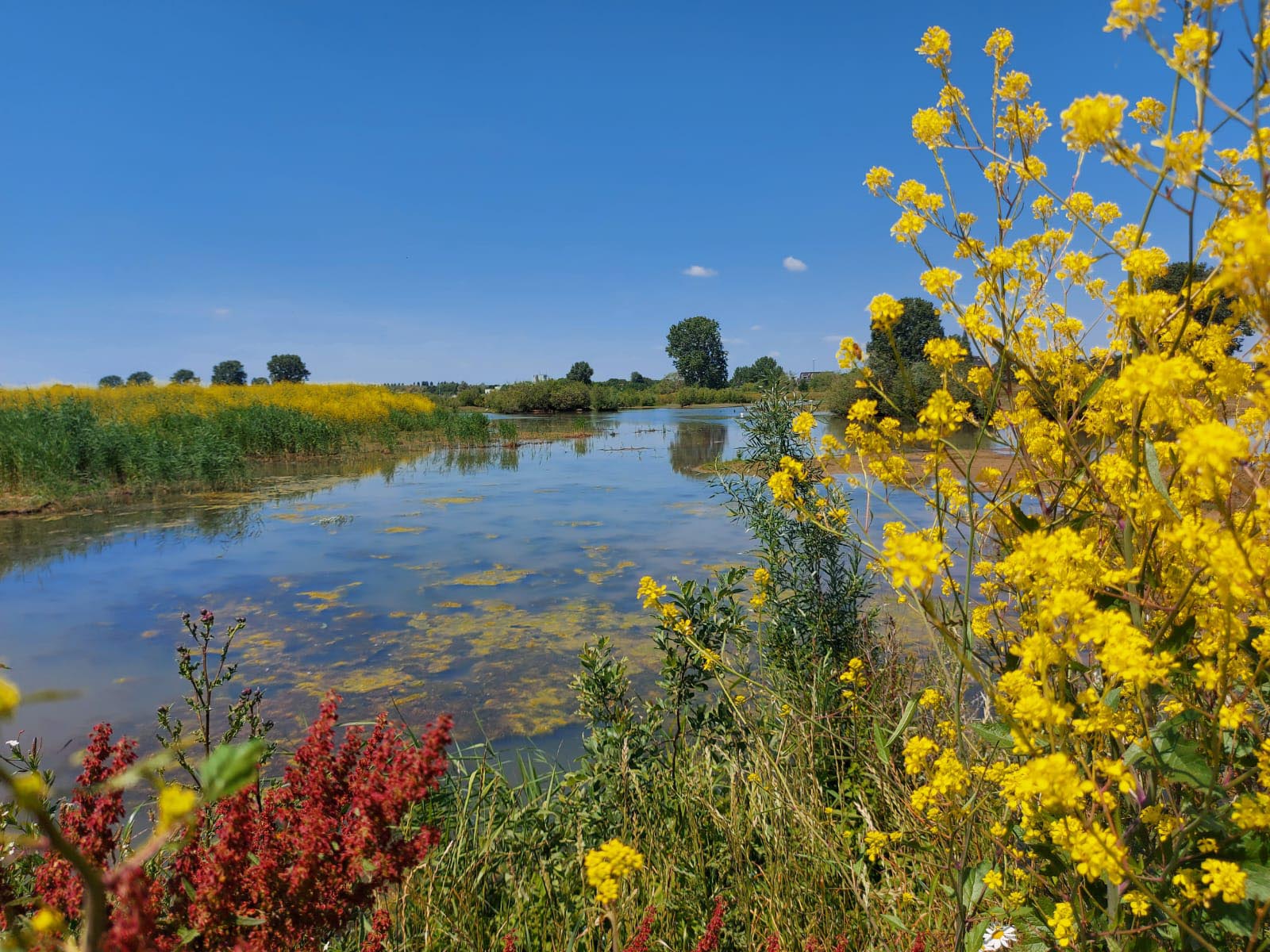 Blog: Het belang van kleiwinning – Wetering
